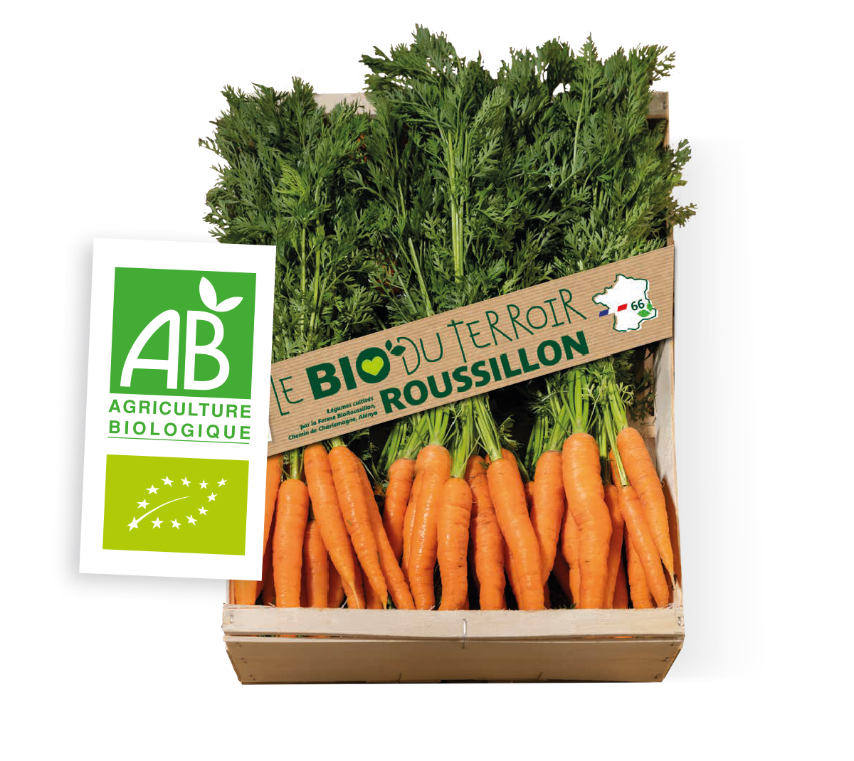 Carottes bio, carottes ZRP et carottes HVE cultivées dans les Landes