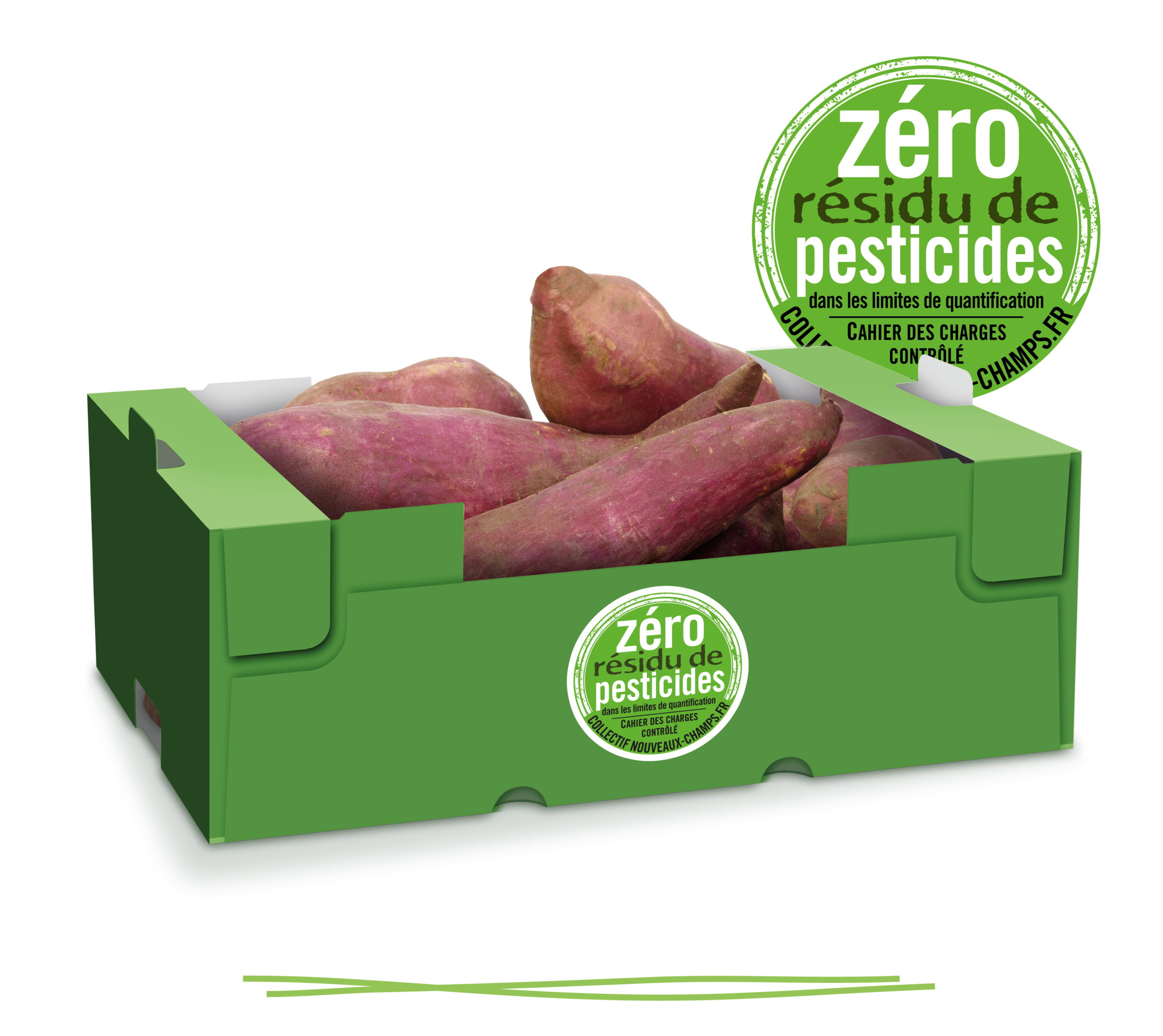 Culture de patates douces bio, ZRP et durables dans les Landes
