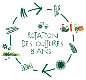 9 cultures de céréales, oléagineux et légumineuses bio et durable